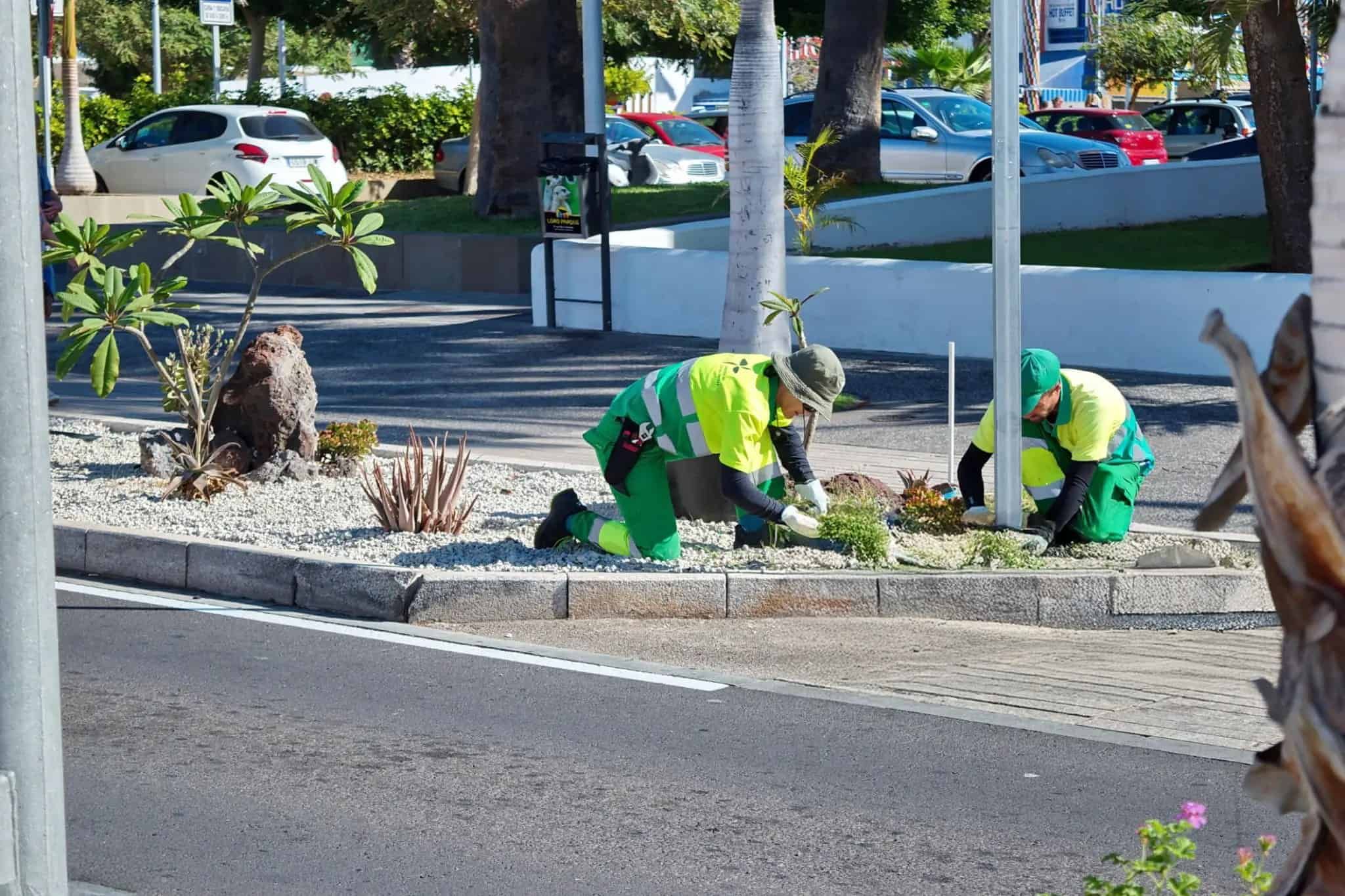 Government Landscaping - Advanced Grounds Management